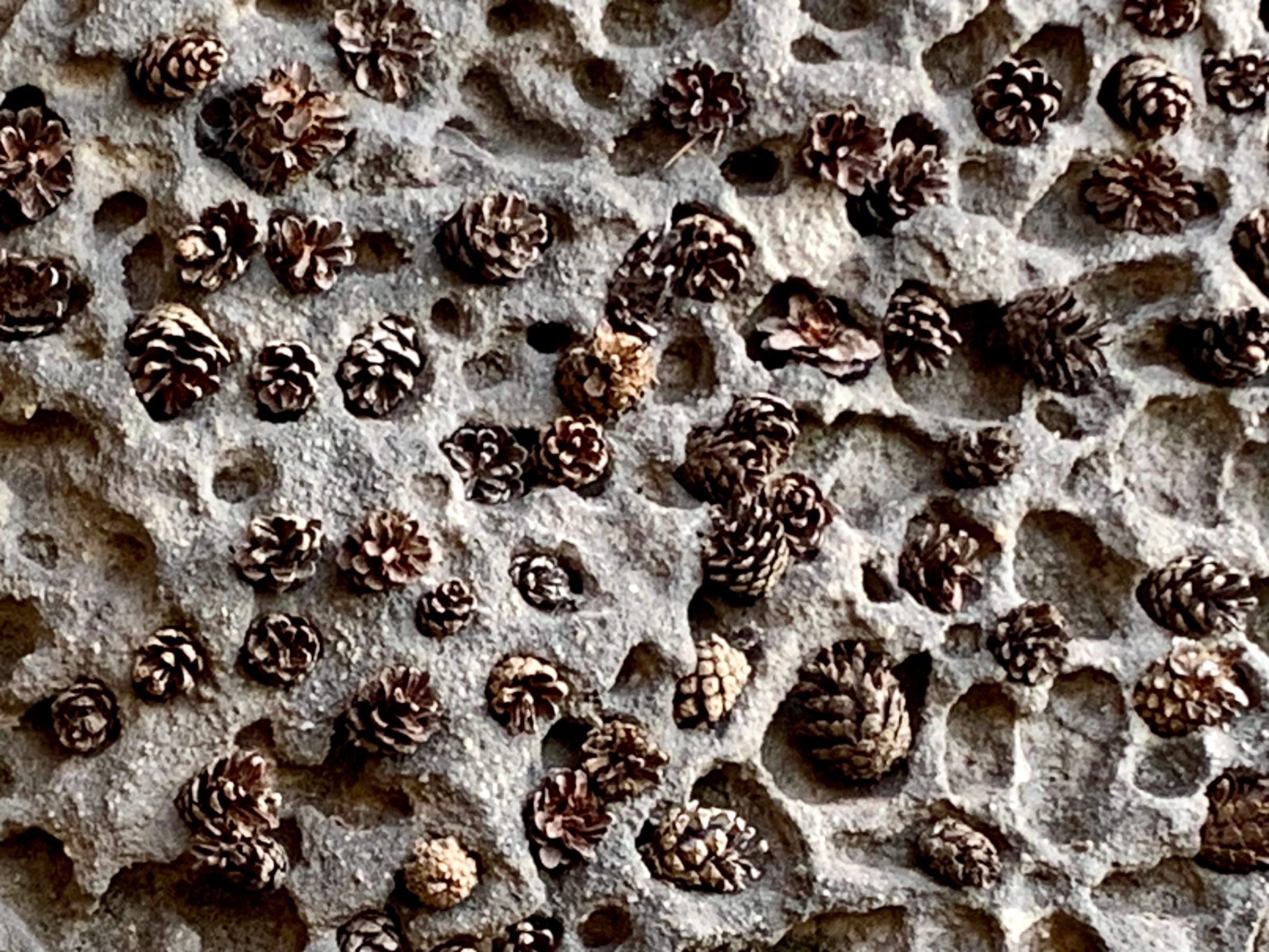 The Vortex - November 2024: "C'mon recruiters.....ask yourself what do ...